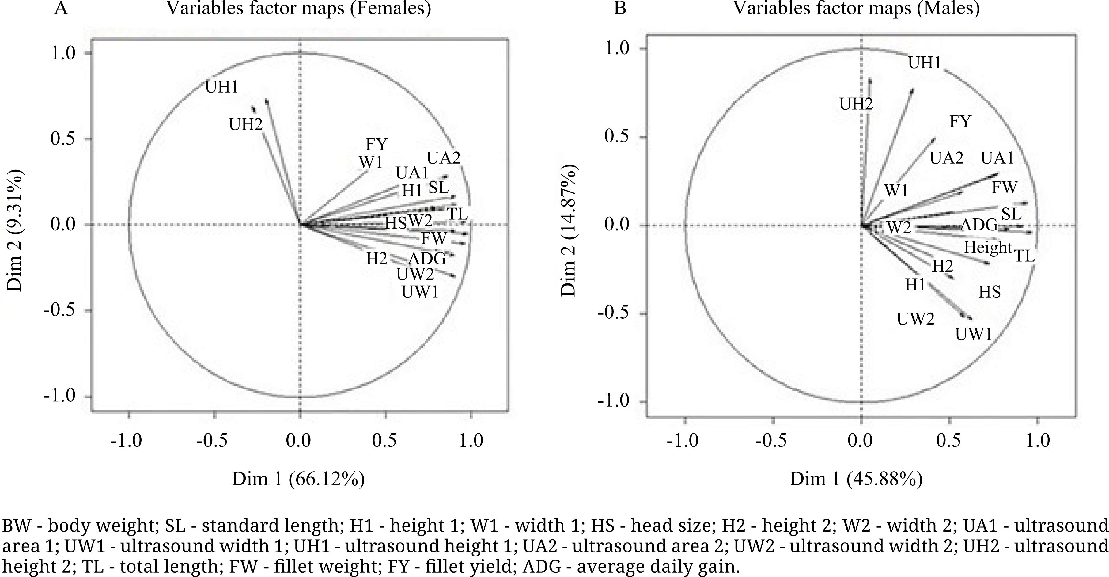 Multivariate analysis using morphometric and ultrasound information for ...