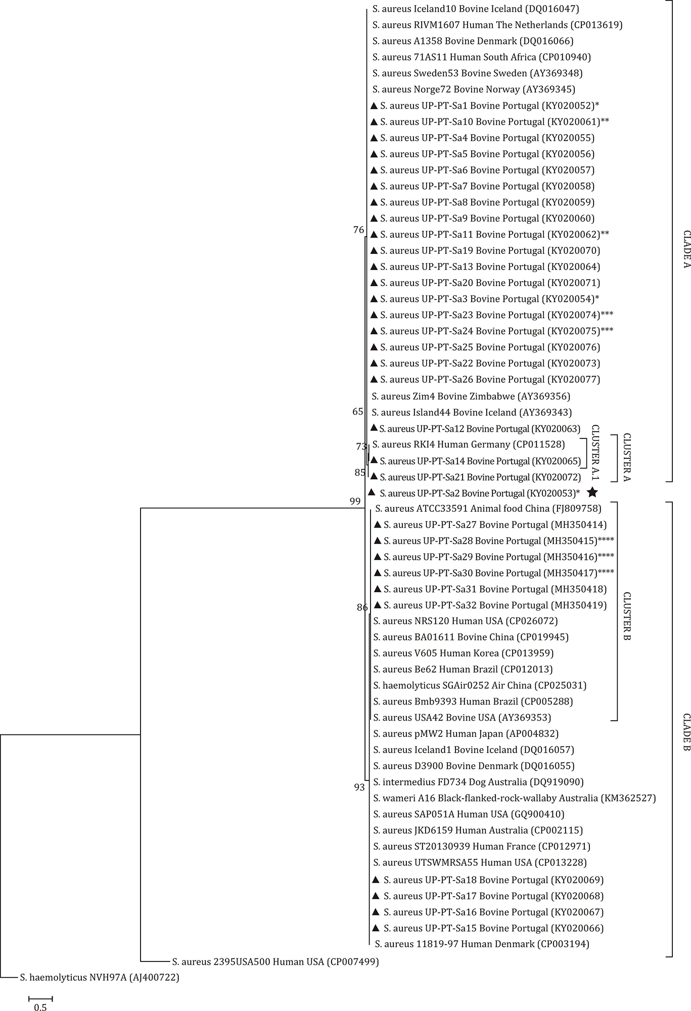 Beta-lactam antimicrobials activity and the diversity of blaZ gene in ...